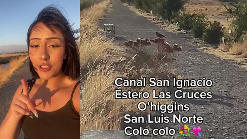 Influencer chilena llama a cuidar el humedal urbano de Quilicura